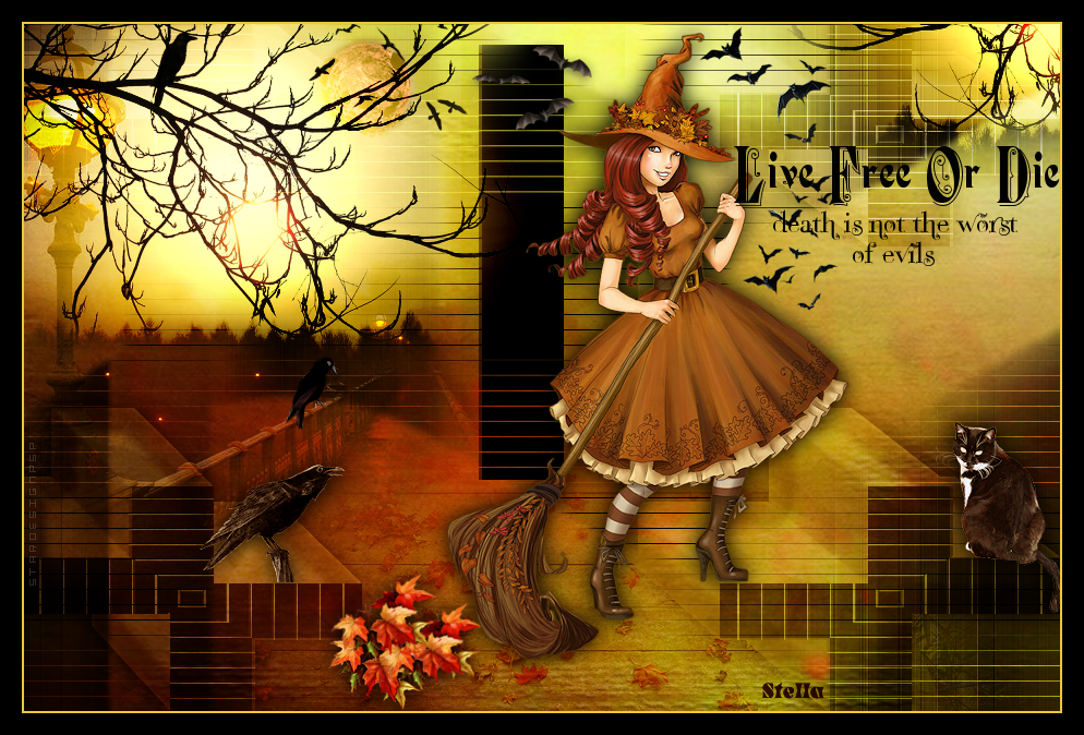 Stardesignpsp :: :: Tutoriales traducidos de